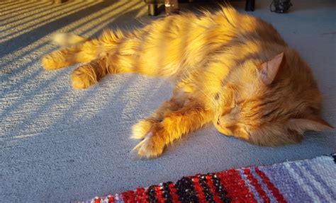 Shes Been My Best Friend Since I Was 20 Im Now 40 Were Just Two Girls Enjoying The Sunshine