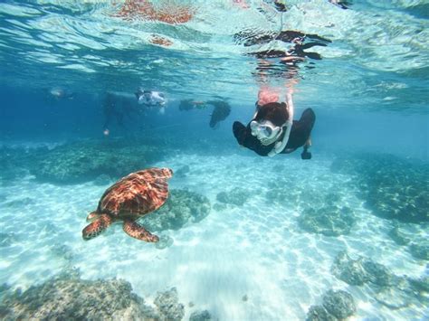 Elly 광고 Wingstopkr 다채로운 플레이버와 스페셜 게임의 짜릿함을 경험할 수 있는 윙스탑 팝업 다녀왔어요친구랑 치맥 즐기며 즐거운 시간~ 제한 시간 내