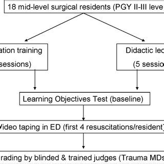 Randomization Scheme And Study Design Download Scientific Diagram