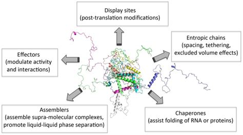 Schematic Phase Diagram Of A Colloidal System E G A Polymer In