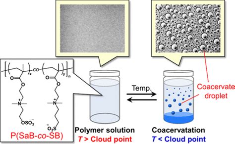 Temperature Responsive Zwitterionic Polymers That Undergo Ucst Type Liquid Liquid Phase