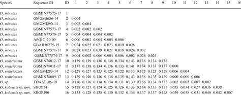 Divergences Of P Distances Among The Ophion Minutus Species Group Download Scientific Diagram