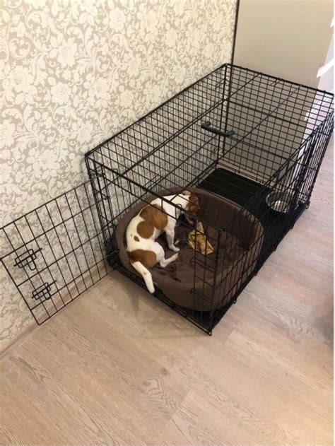 КЛЕТКИ ДЛЯ СОБАК В СПБ | KLETKI-SPB.RU 2024 | ВКонтакте