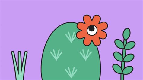 Ebpf Blog