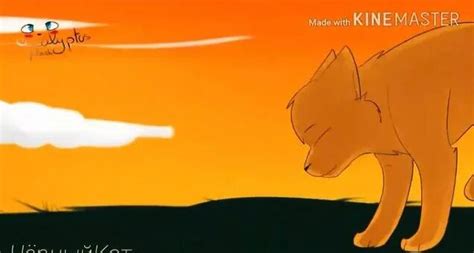 Коты Воители Пестролистая и Огнезвёзд Клип Ураган заказ Смотреть онлайн в поиске Яндекса