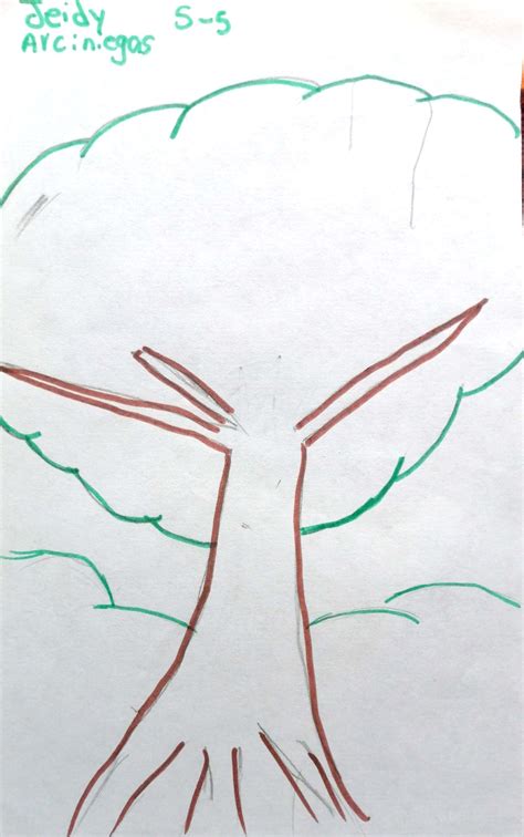 Jeidy Mis amigos los árboles