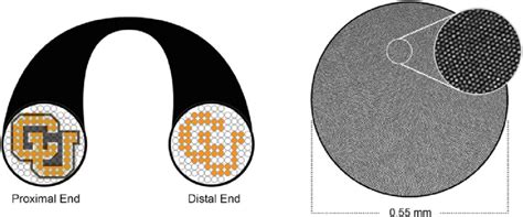 Properties Of Coherent Imaging Fiber Bundles Left Illustration Of