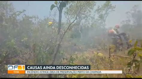 Vídeo Incêndio Atinge área De Preservação Perto Da Chapada Dos