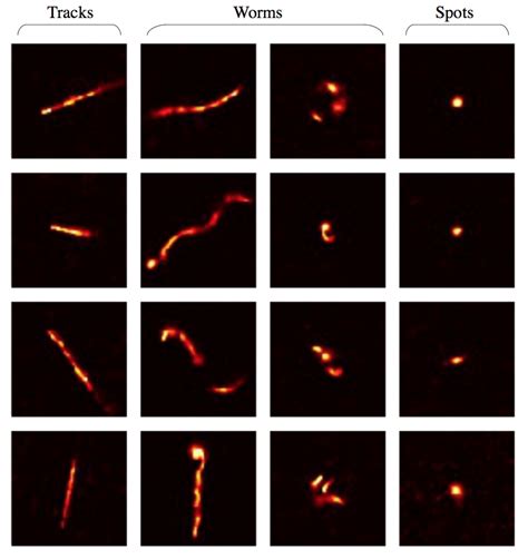 Representative Sample Of The Three Distinct Types Of Charged Particle Download Scientific