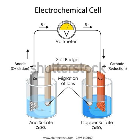 Illustration Educational Diagram Chart Showing Physics Stock Vector Royalty Free
