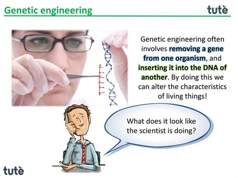 Bio Igcse Genetic Engineering Pdf