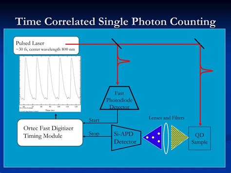 Ppt Time Correlated Single Photon Counting Tcspc Powerpoint