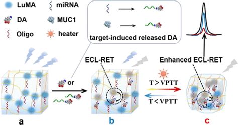 Luma Functionalized Thermosensitive Hydrogel A Versatile And Robust