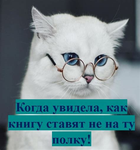 Создать мем кот в очках умный кот ко котик в очках Картинки Meme