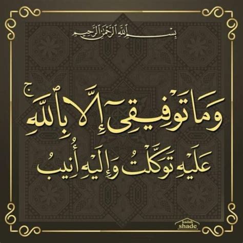 mohamed badawy posted on linkedin