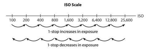 Understanding ISO Shutter Speed And Aperture ANIMOTICA Blog