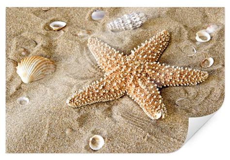 Poster Patrick De Zeester Wall Art Nl