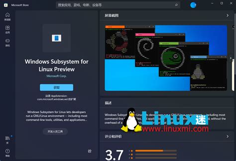 Wsl 预览版现已作为 Microsoft Store 应用程序提供 Linux迷