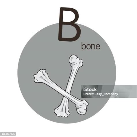 본 사진과 함께 어린이 활동 색칠 공부 책 페이지의 벡터 그림 개에 대한 스톡 벡터 아트 및 기타 이미지 개 벡터 생물학 Istock