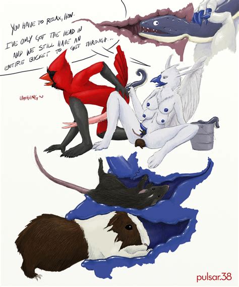 rule 34 2008 anal anal insertion anal sex anal vore anthro avian bird