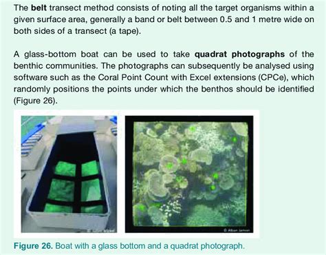 The Lit Line Intercept Transect And Pit Point Intercept Transect Download Scientific