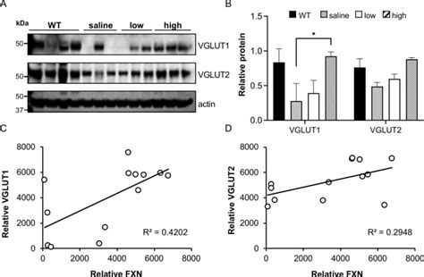 Create Scientific Graphs And Figures Using Prism By Lrodden Fiverr