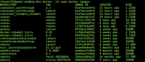 Virtual Machine Container Building Dcan Labs Informational Guide