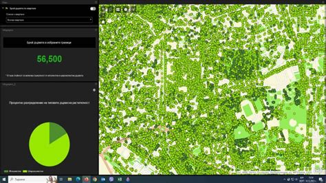 Сливен е сред малкото общини с дигитална карта на дърветата Еврофондовете в Сливен