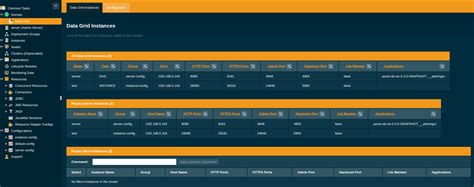 Administering The Domain Data Grid Payara Enterprise Documentation