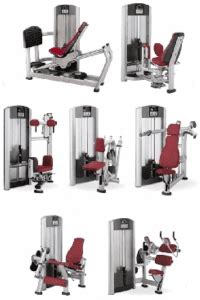 7 Bicep Isolation Exercises To Try Bicep Workout Fit Kit