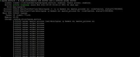 Nginx Emerg Bind To 00004001 13 Permission Denied Nginx