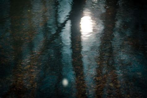 Coding Frontenddeveloper Project Cassie L