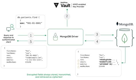 Mongodb Field Level Encryption With Hashicorp Vault Kmip Secrets Engine