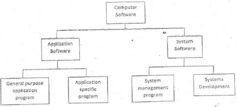 Identify Five Types Of File Extensions