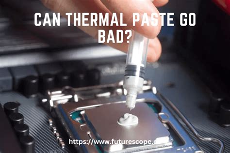 Can Thermal Paste Kill You At Frank Thill Blog