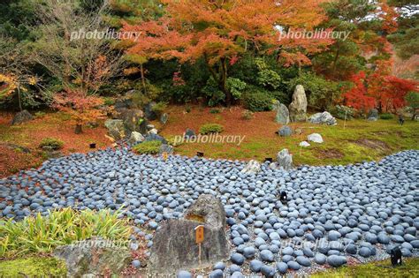 Photolibrary
