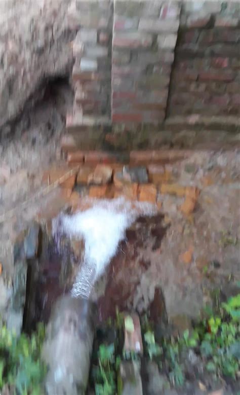 Jj And Mikey Survived 100 Days From Young To Old In Minecraft Challenge Maizen Mizen Mazien