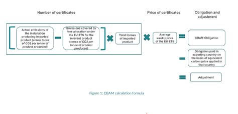 For A Systematic Use Of Default Values In The Cbam Sandbag