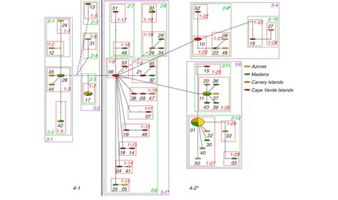 Network And Nested Clade Structure Of The Combined Cyt B And Coi Mtdna Download Scientific