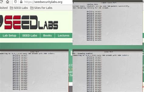 Repeat Ddos Command With 3 Terminals 12 Entering Web Site At The Download Scientific Diagram