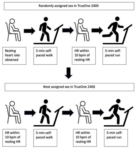 Binary Sex Input Has No Effect On Metabolic Or Pulmonary Variables A Binary Sex Input Has No Effect On Metabolic Or Pulmonary Variables A