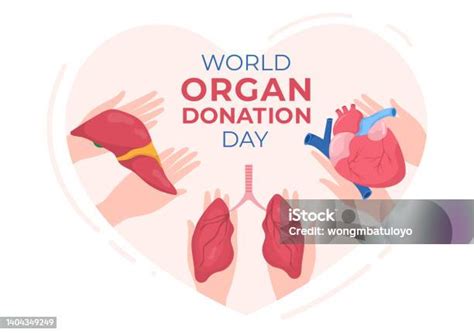 신장 심장 폐 눈 또는 간 이식 플랫 카툰 일러스트레이션에서 생명과 건강 관리를 구하는 세계 장기 기증의 날 장기 기증에 대한