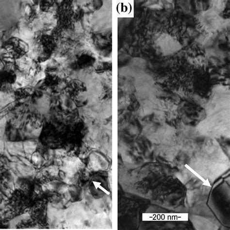 Duplex Microstructure Obtained By Annealing Below β Transus At Download Scientific Diagram