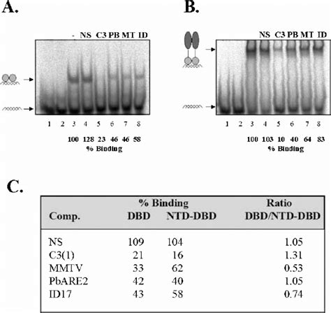 Dna Binding And Competition Assay A Binding Of The Ar Dbd To