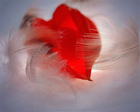 С Ще ми дадеш ли номера си Кой номер Колко номера имаш Имам много Да вземем за