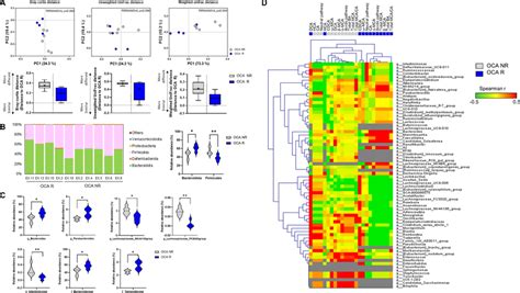 Comparison Of Microbiome Structure Between The Responder And Download Scientific Diagram