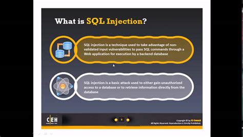 15 Certified Ethical Hacker Ceh Sql Injection Intro كورس الهكر