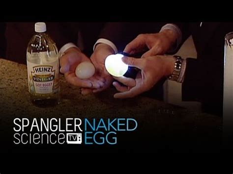 Naked Egg Cool Science Experiment YouTube