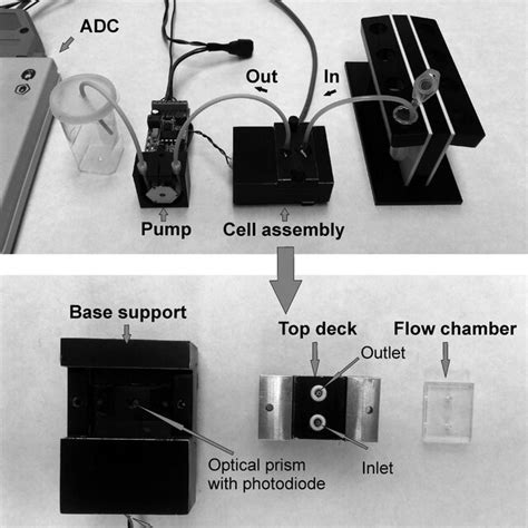The Kinetics Of Platelet Aggregation In Prp A And Adhesion To Download Scientific Diagram