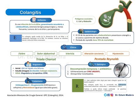 Flashcards Sobre Cirugía General Del Enarm Pdf